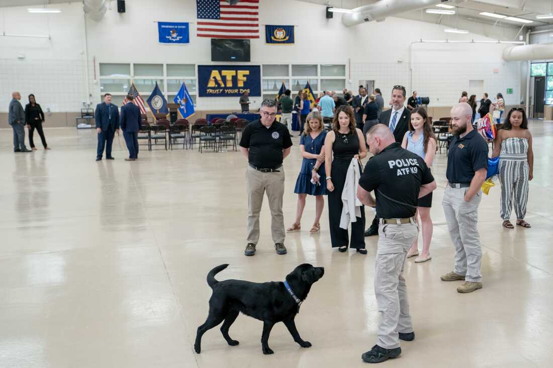 These best boys and girls just graduated from the ATF's National Canine Academy : NPR