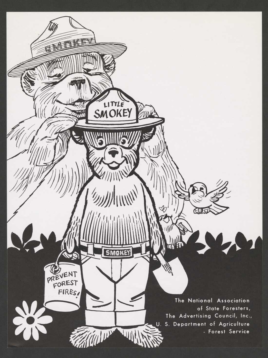 how to draw smokey the bear step by step