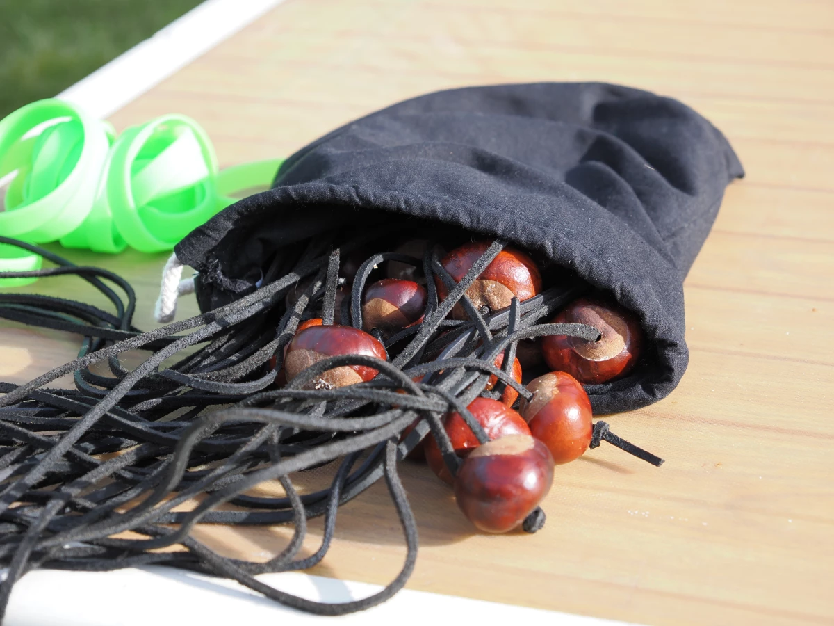 U.S. woman wins conkers world title, as men's champ faces metal nut ...