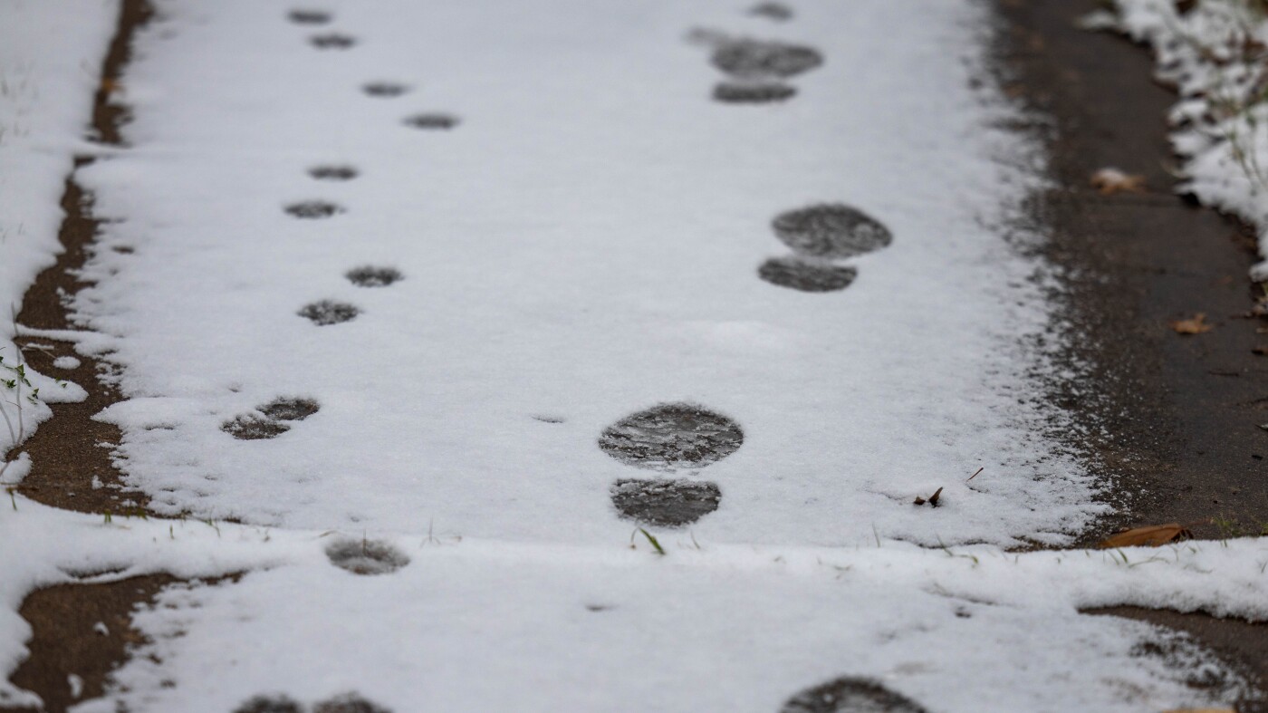 Photos: From Texas to Florida, a rare winter storm brings historic ...