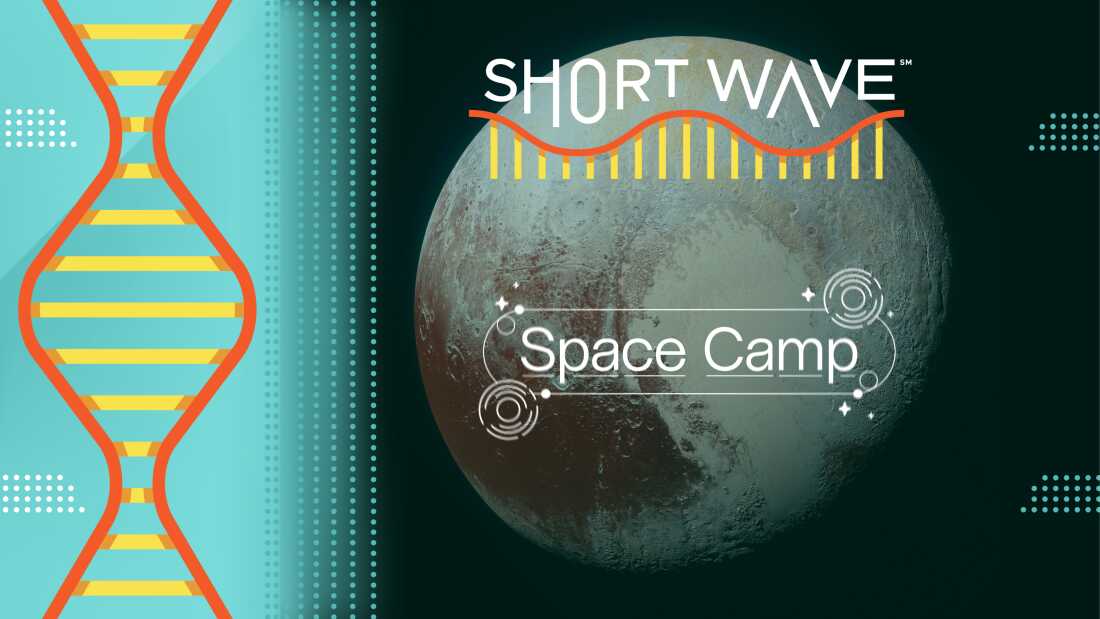 pluto coloring page nasa