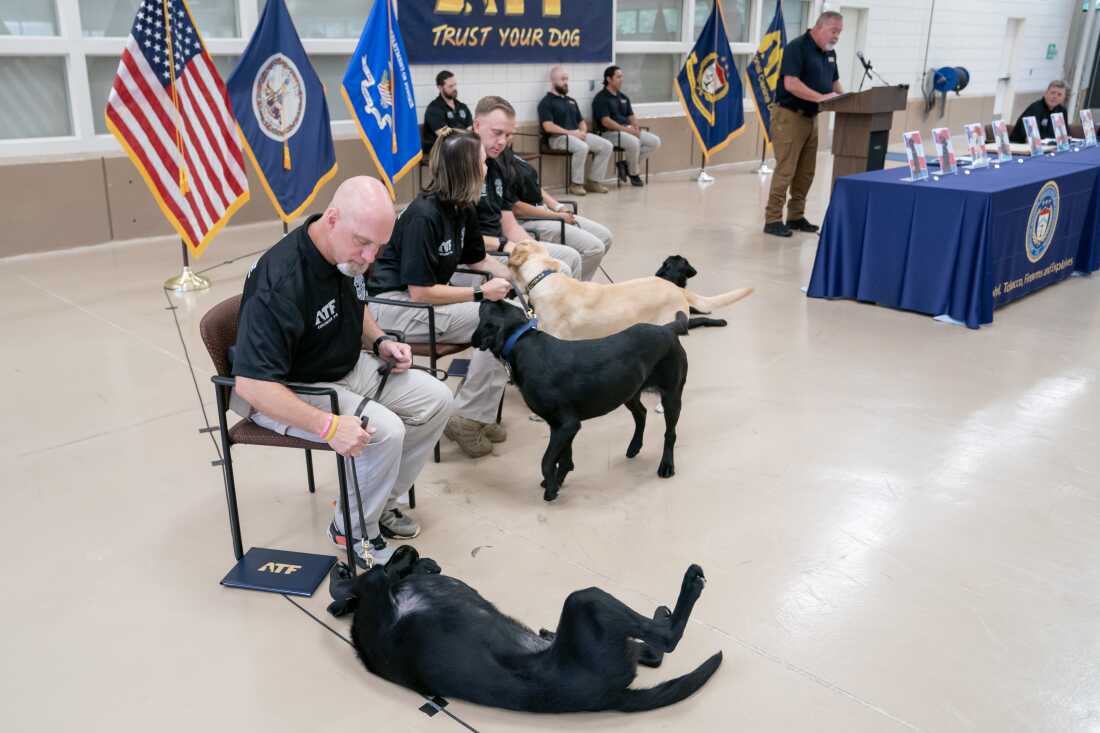 These best boys and girls just graduated from the ATF's National Canine ...
