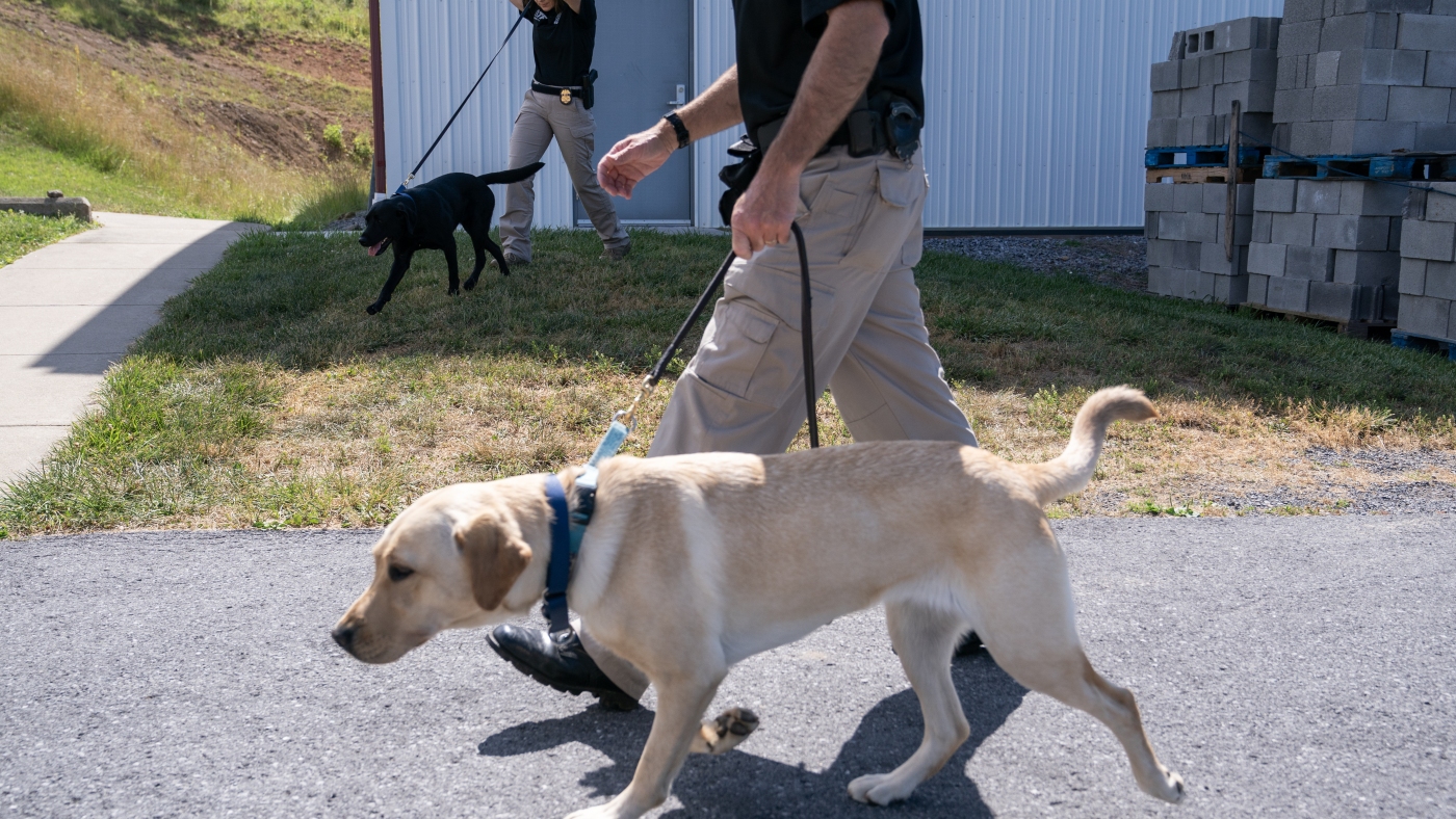 These best boys and girls just graduated from the ATF's National Canine ...