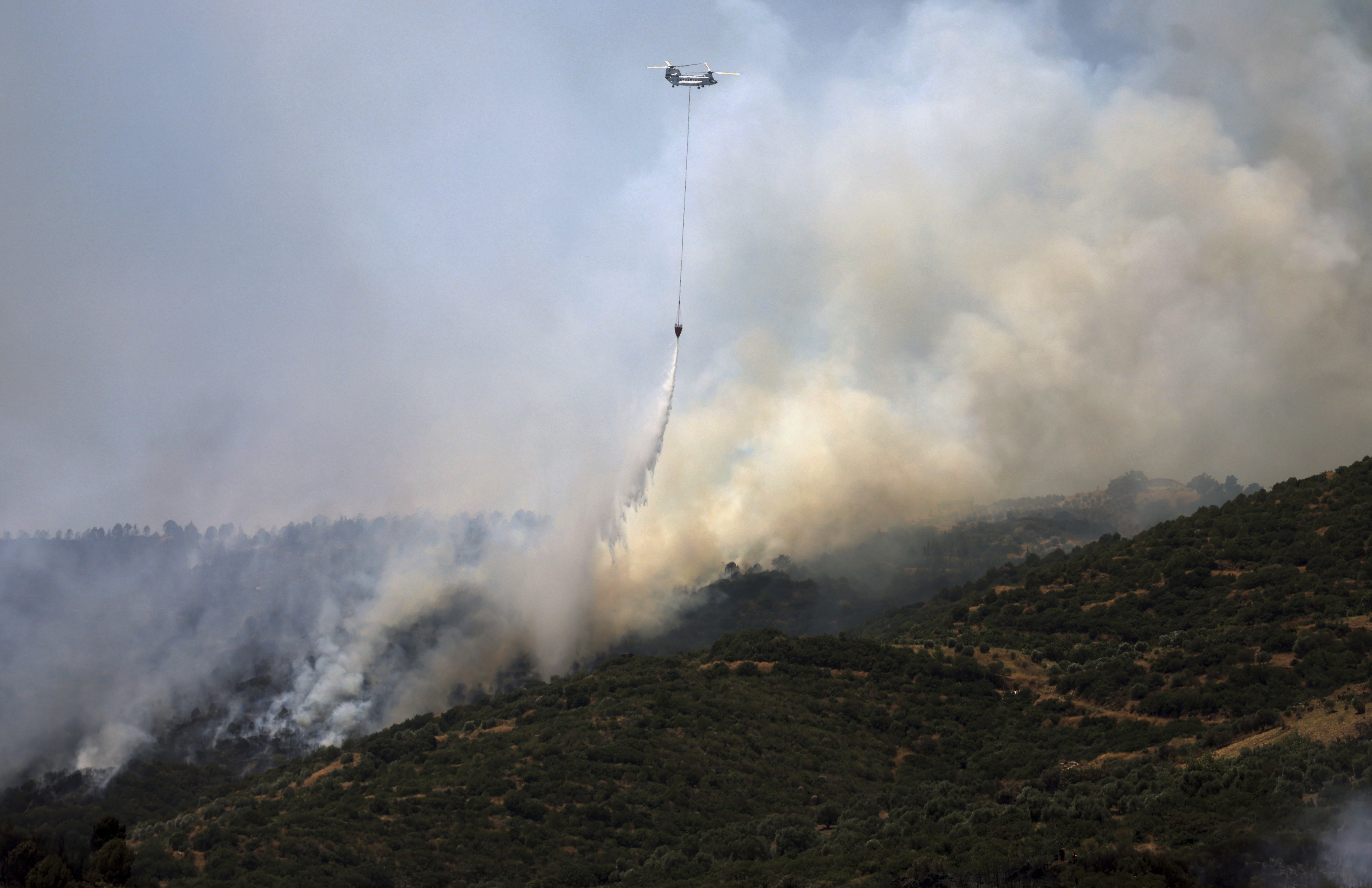 Wildfire in Greece prompts evacuation; firefighters tackle blazes in ...