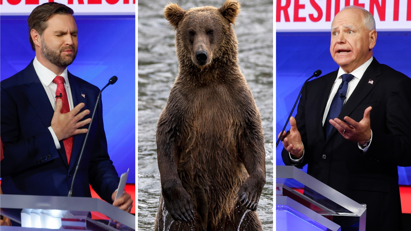 Why did Tim Walz call himself a 'knucklehead' this week? Find out in ...