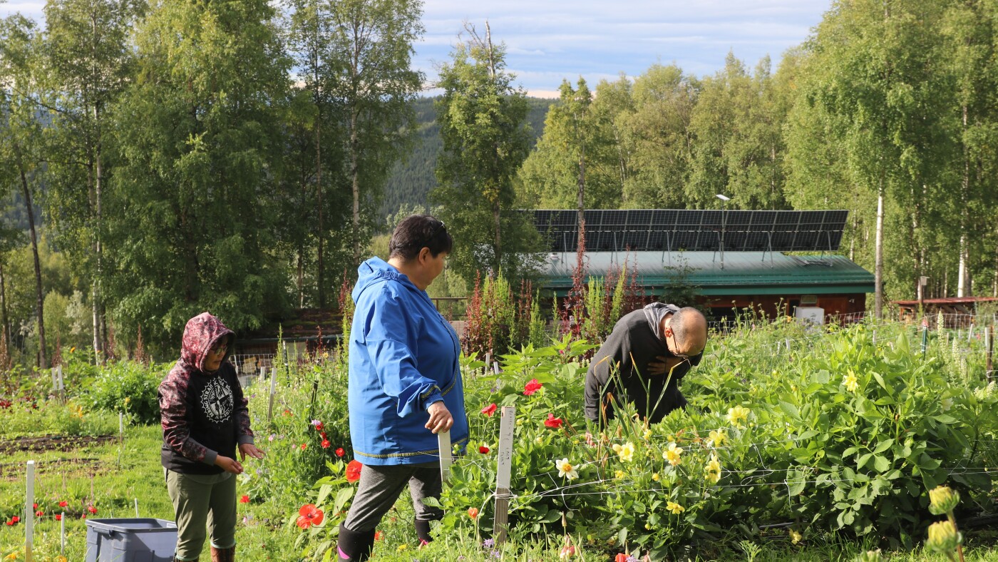 As Alaska warms, this program is training a network of Indigenous ...