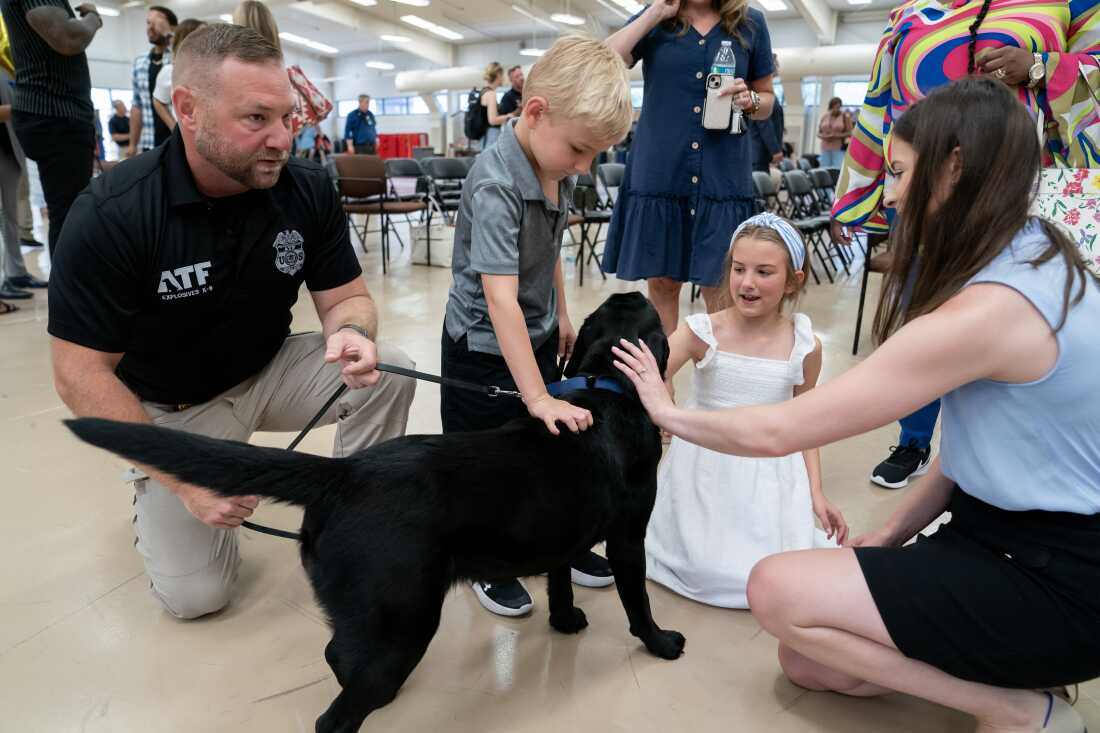 These best boys and girls just graduated from the ATF's National Canine ...