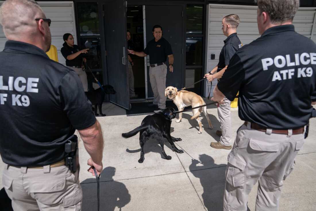 These best boys and girls just graduated from the ATF's National Canine ...