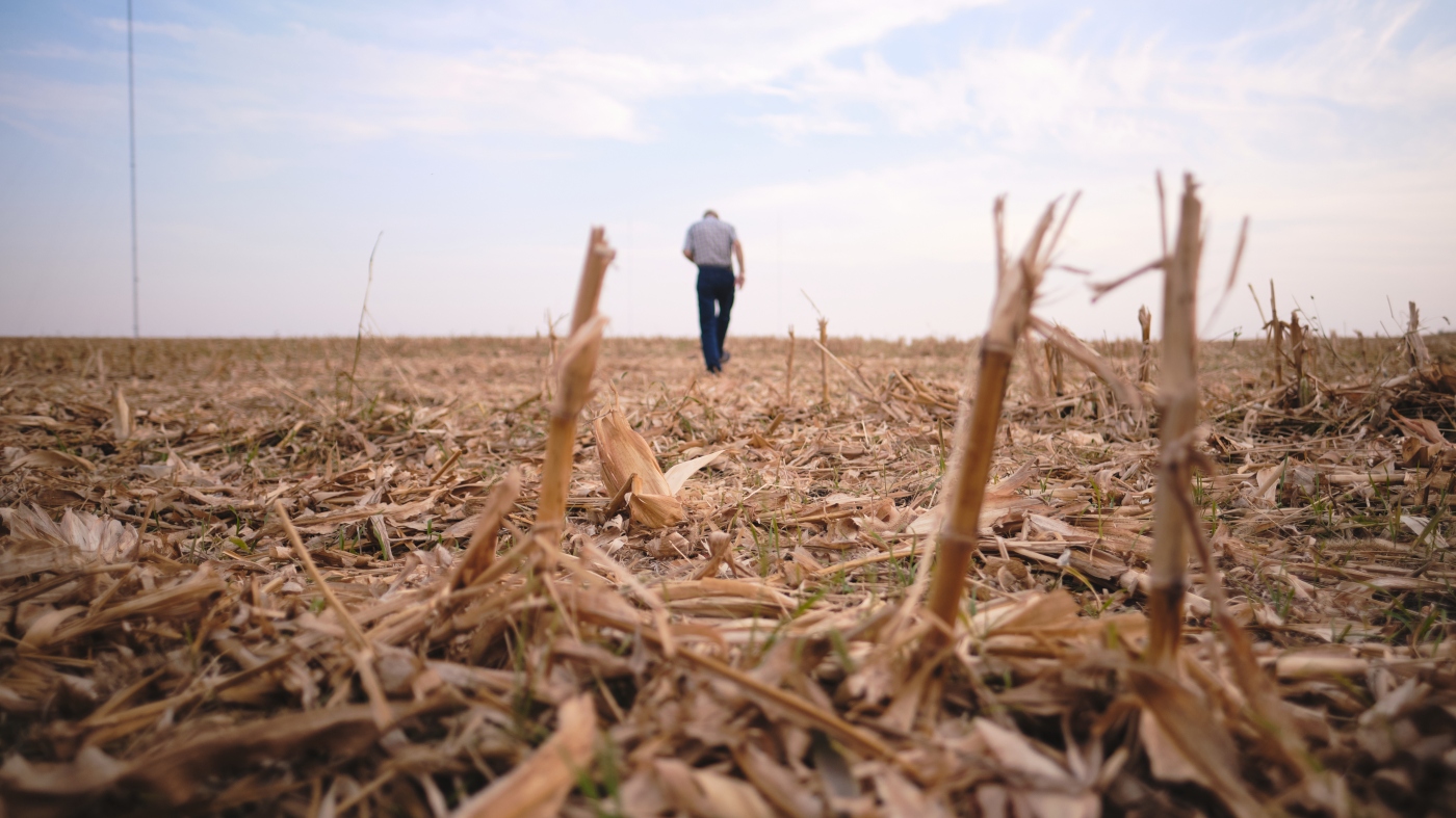 Iowa backs an industry-friendly fix for farm pollution, despite weak ...