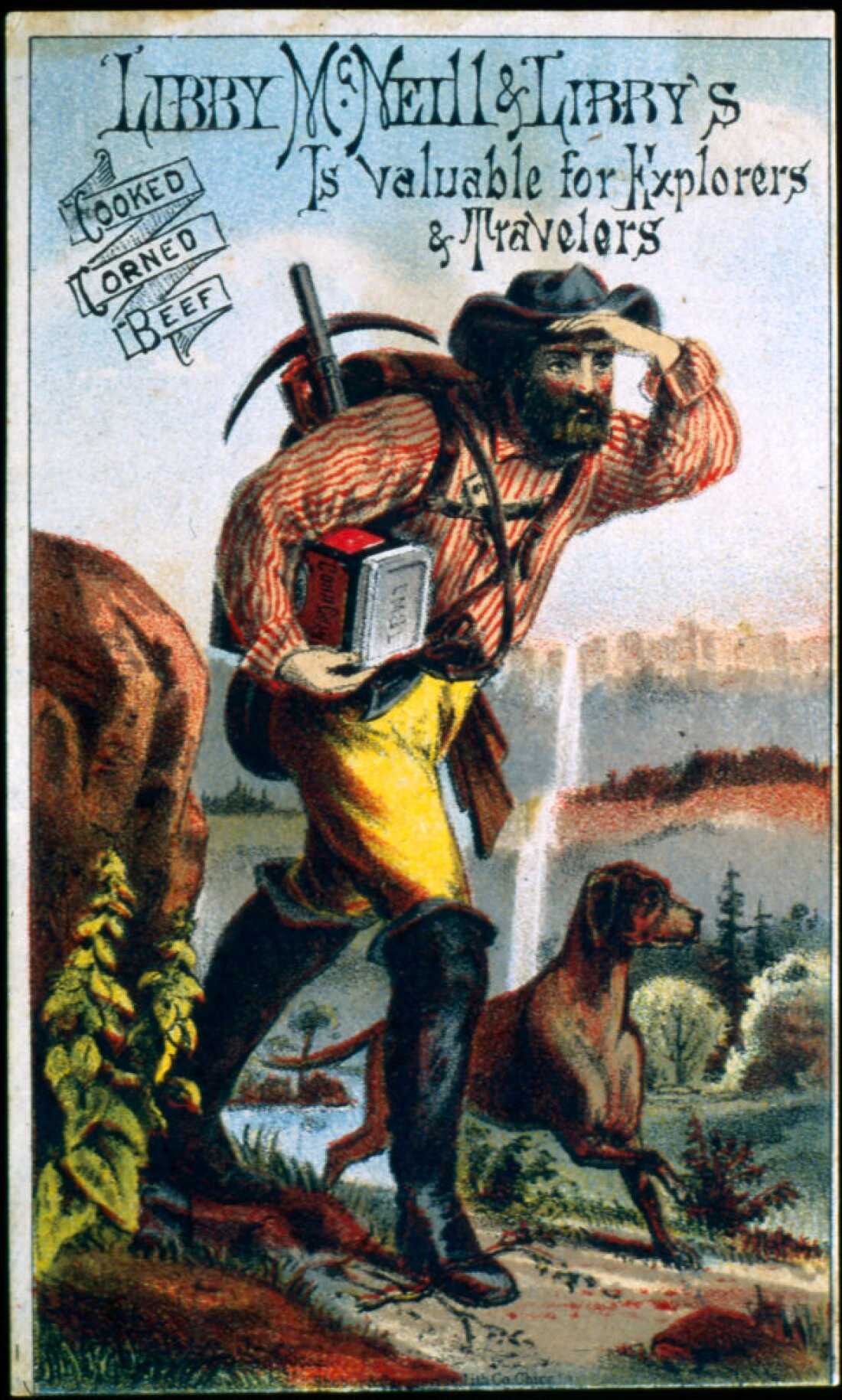 Why climate researchers are thinking about beef eating and masculinity ...