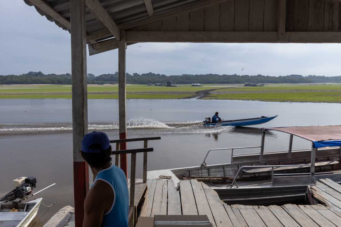 Amazon finally gets rain, but after 2 years of drought, it may not be ...