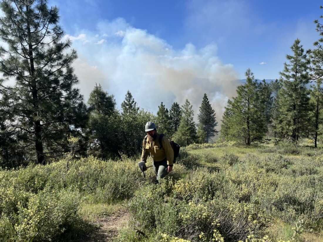 As western fires erupt, Trump's Forest Service says it's now fully ...