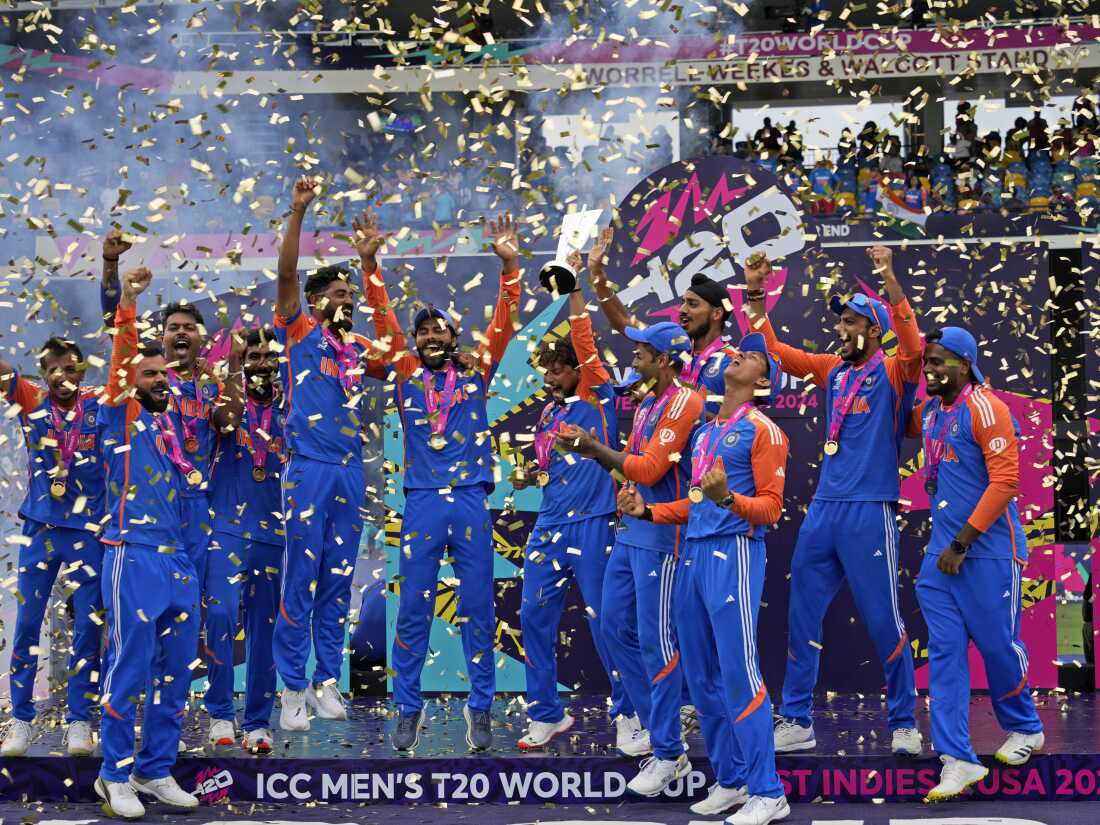 India wins the T20 World Cup, defeating South Africa for the cricket ...