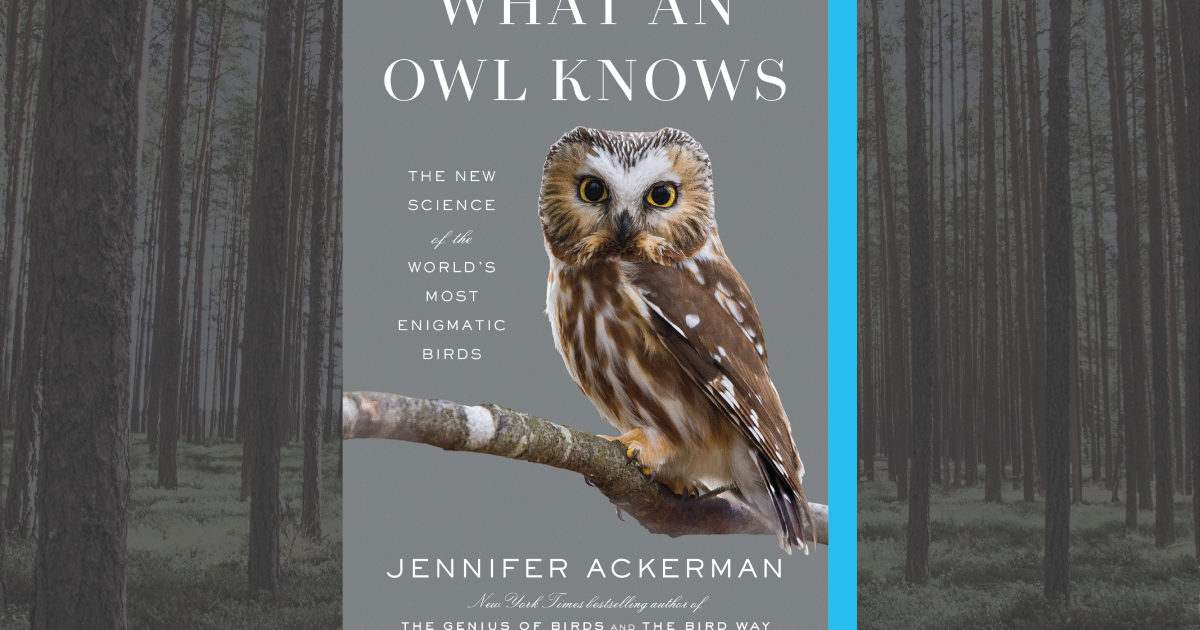 New book gives bird’s-eye view of the secrets and lore surrounding owls ...