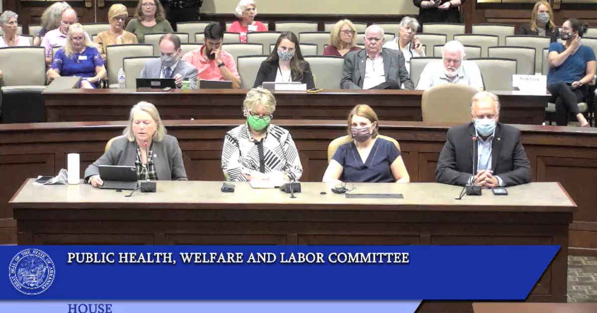 House Committee Members Fail To Pass Two Bills Amending State's Mask ...