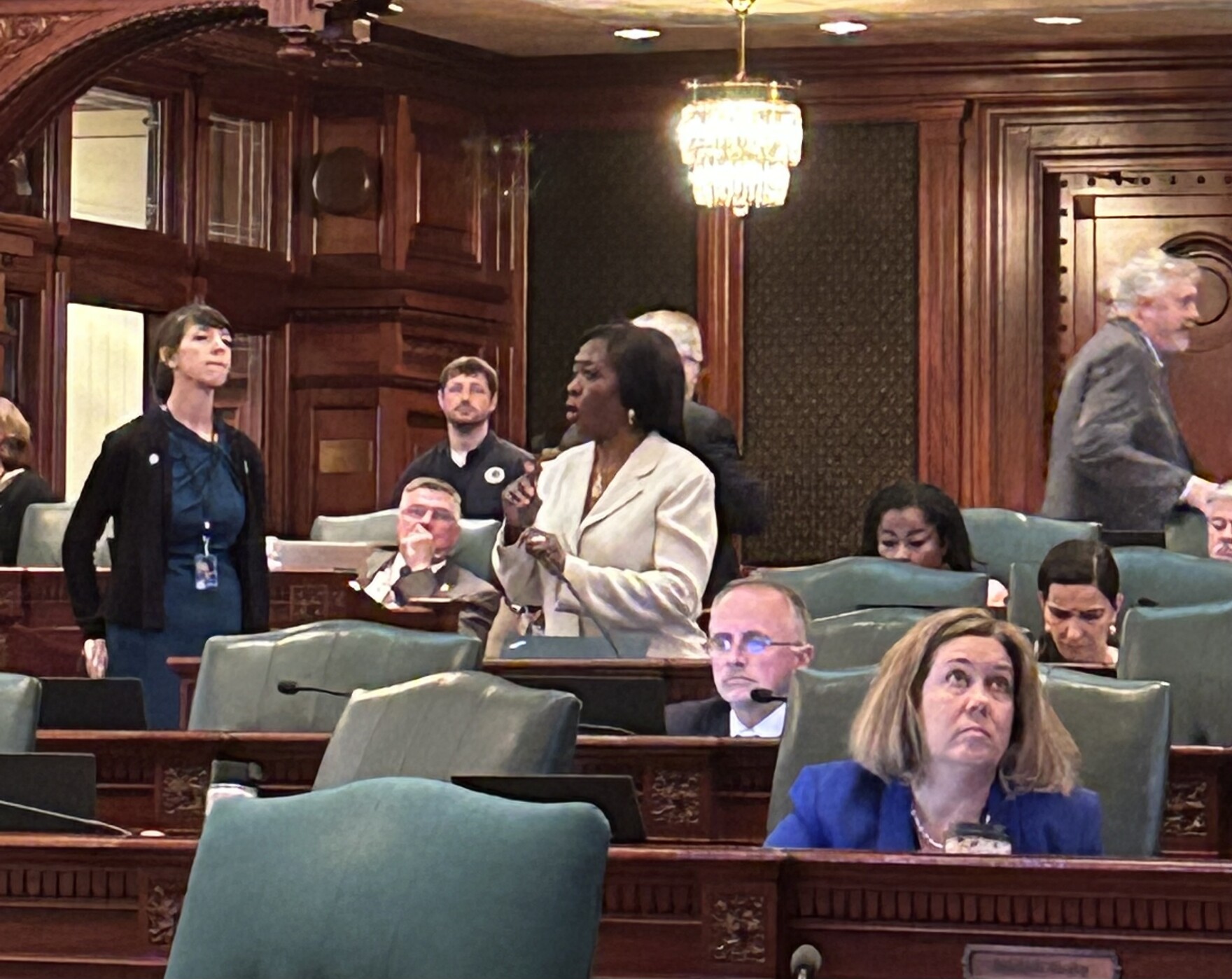Rep. Mary Flowers removed from leadership after saying staff member resembled Hitler | WCBU Peoria