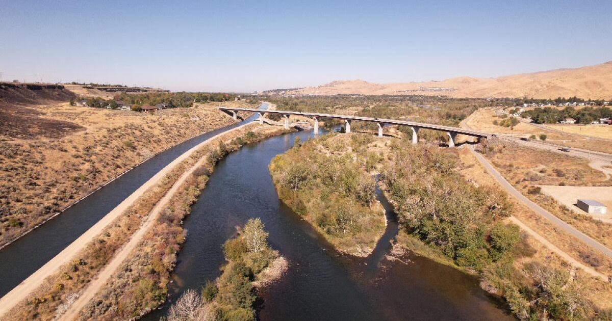 New project helps to restore Boise River habitat | Boise State Public Radio