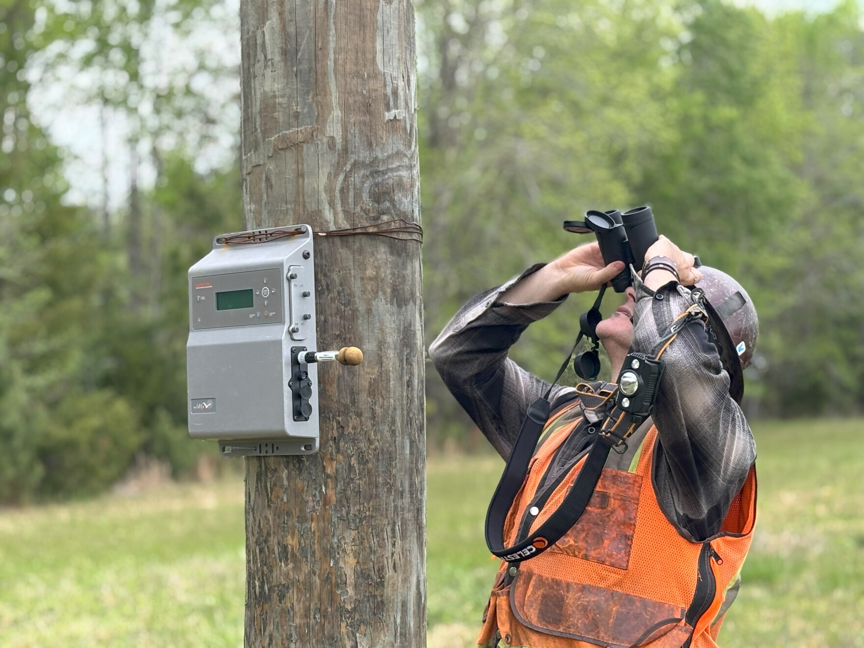 ‘A flat for a bat’: Dominion Energy working with CNU to turn power ...