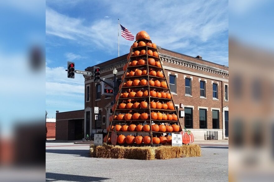 pumpkin tree