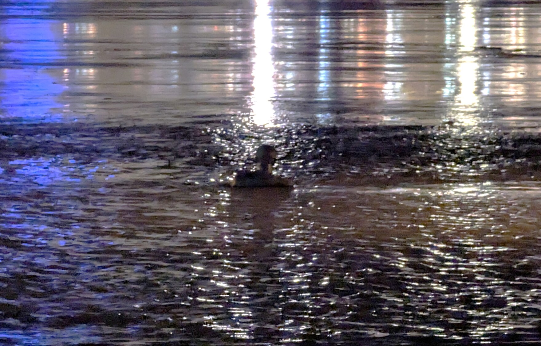 What happened to Covington's James Bradley statue? | WVXU