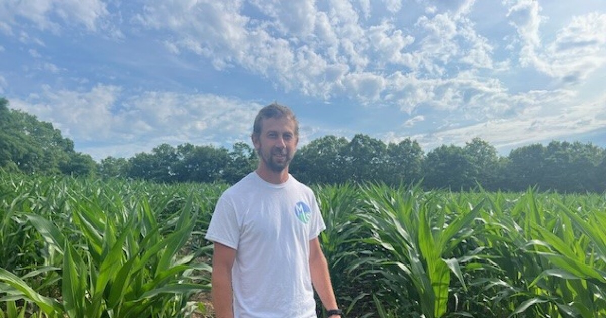 Bourbon County corn maze designed with unity in mind | WEKU