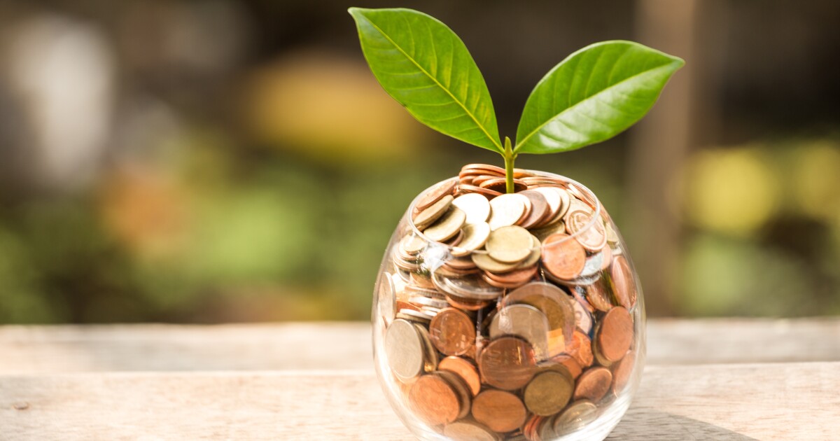 Jeremy Matlow PC receives $95,000 from out-of-state green energy groups ...