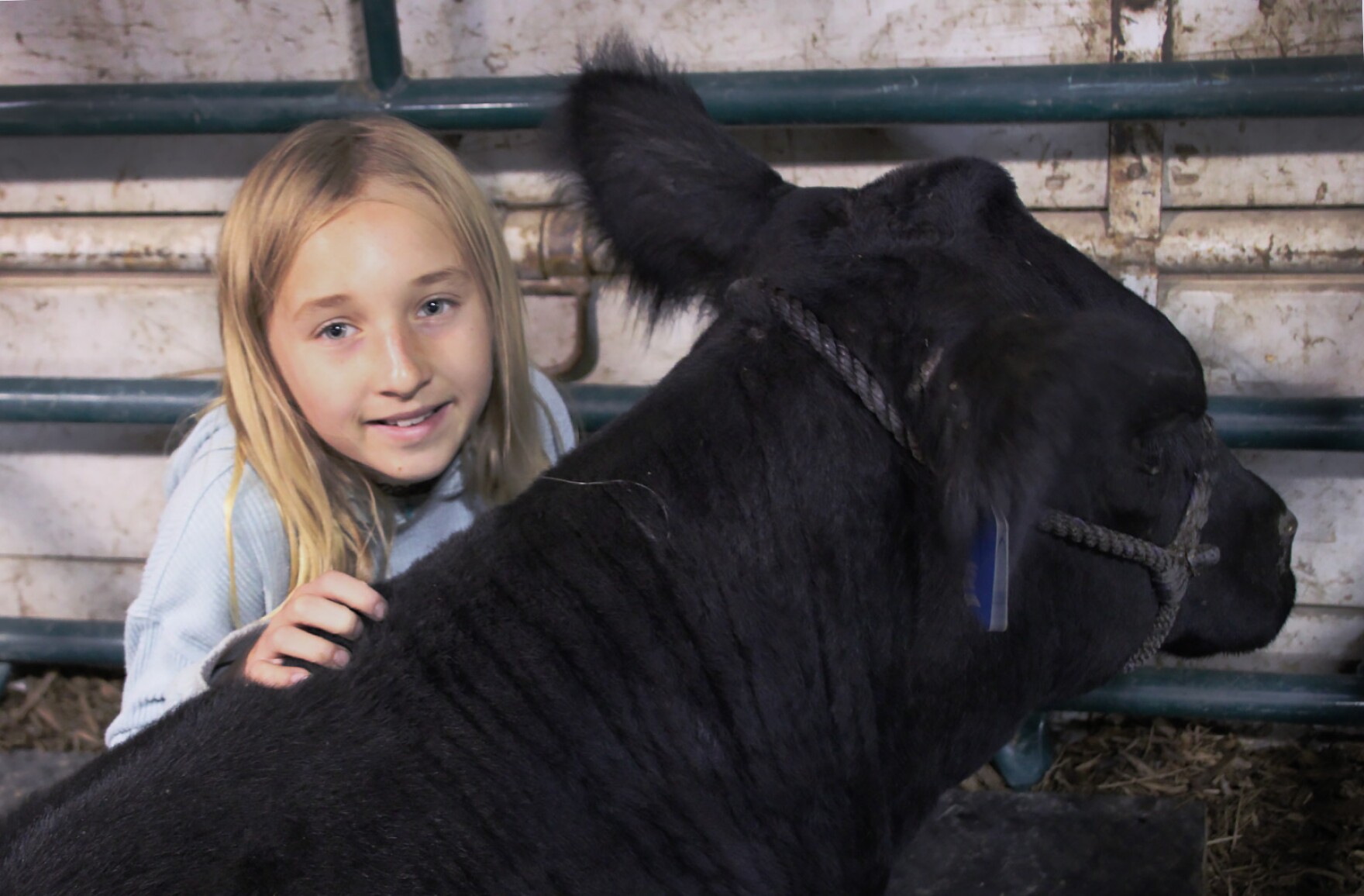 At this 124-year-old livestock show, kids steal the spotlight with ...