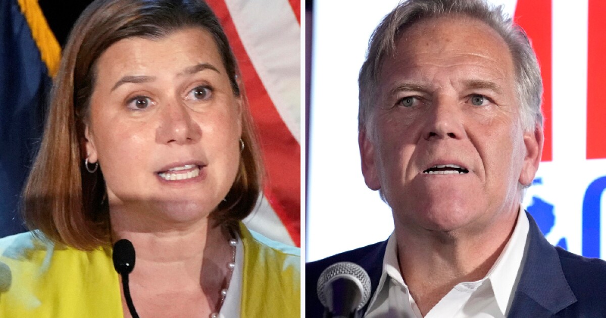 Mike Rogers, Elissa Slotkin bring in big names to campaign in final ...