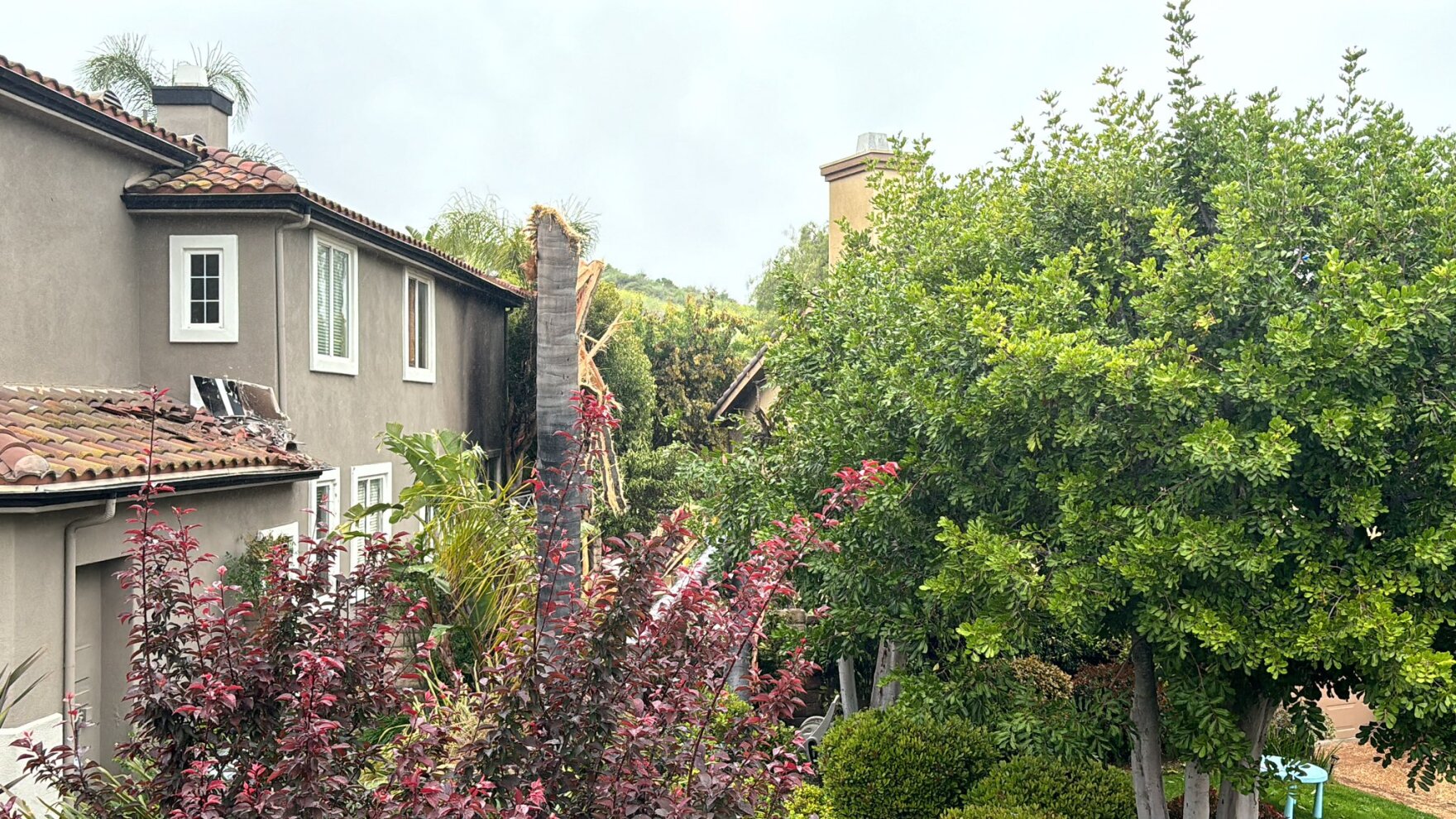 Conejo Valley father, son identified as victims of weekend plane crash ...