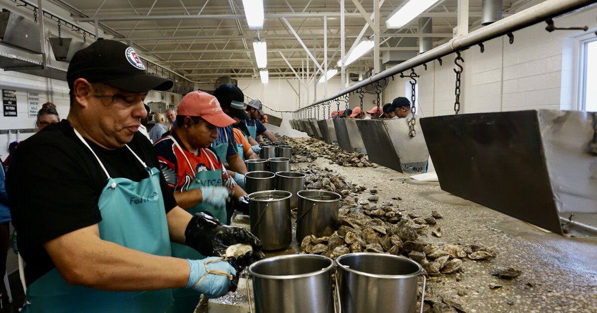 New reports suggest U.S., Virginia economies are slowing | WVTF New reports suggest U.S., Virginia economies are slowing | WVTF
