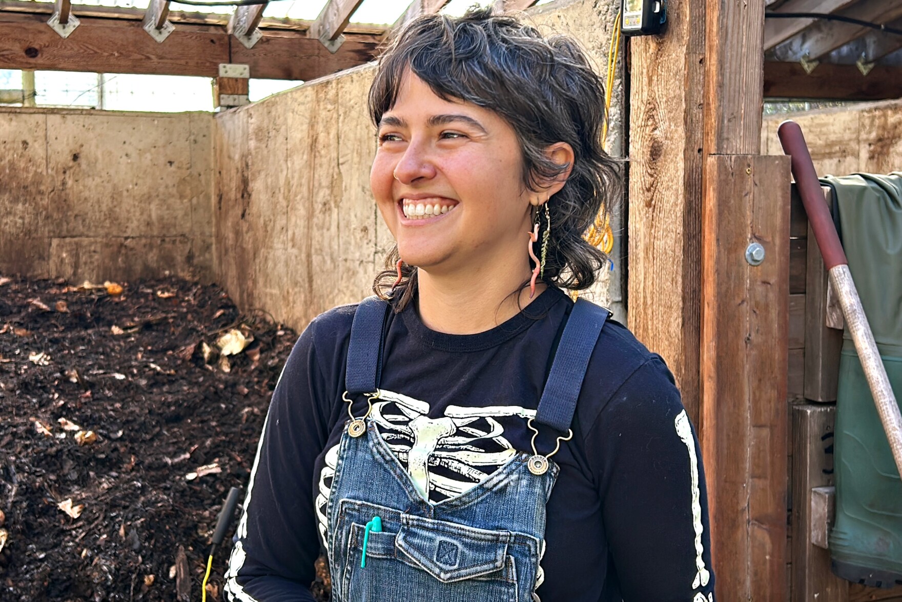 A gourdy scene: Splattered pumpkins add unique spice to compost efforts ...