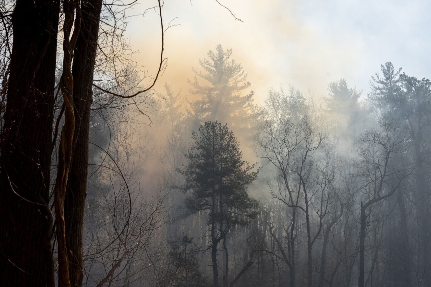 Fighting WNC wildfires a ‘nightmare' due to Helene damage to roads ...