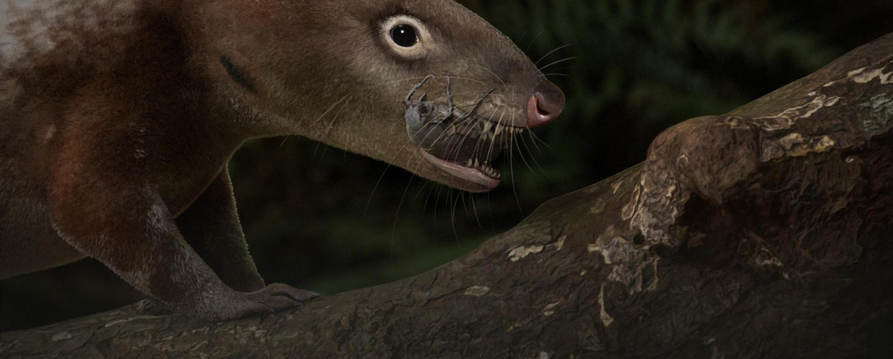 How Chewing May Have Beat Extinction