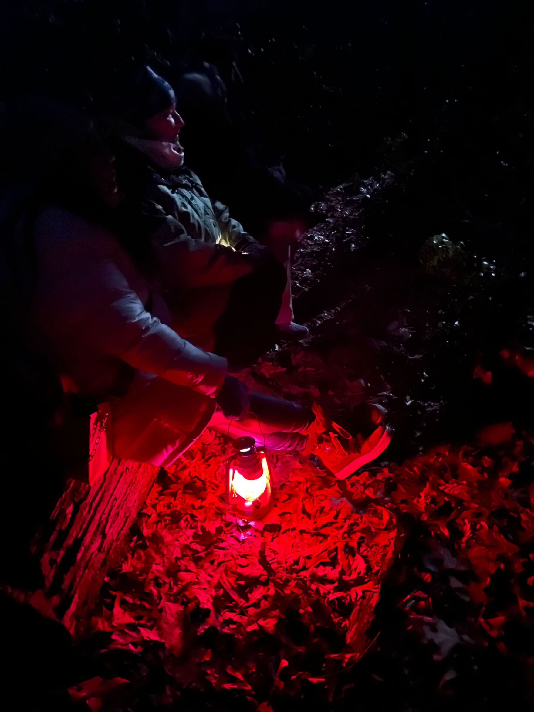 Indigenous museum offers night walks to explore nature and cultural ...