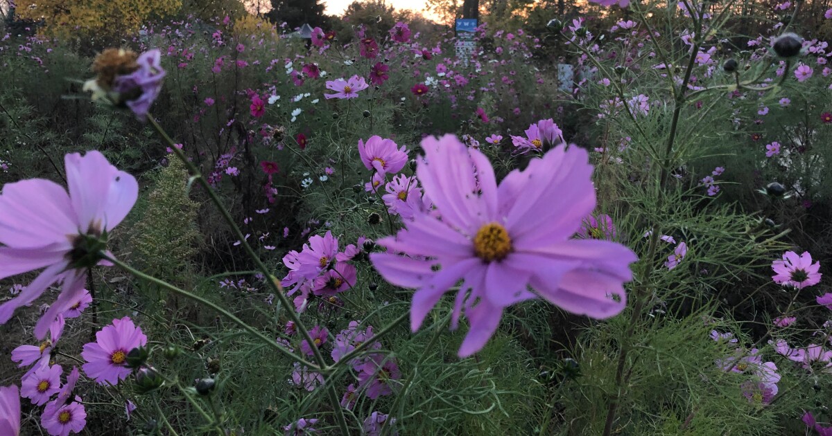 "When you start to look at this same story, this same set of facts ...