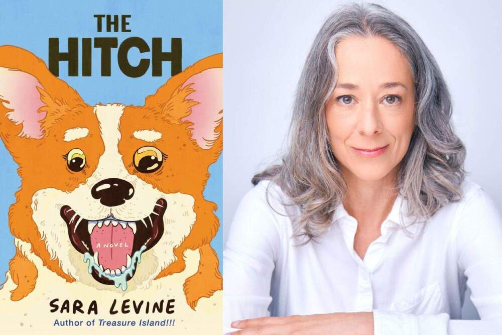 'The Hitch' novel tells a tale of corgi possession | WGLT