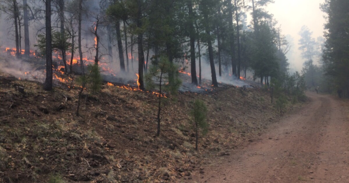 BLM fire official says work-rest guidelines, collaboration critical ...