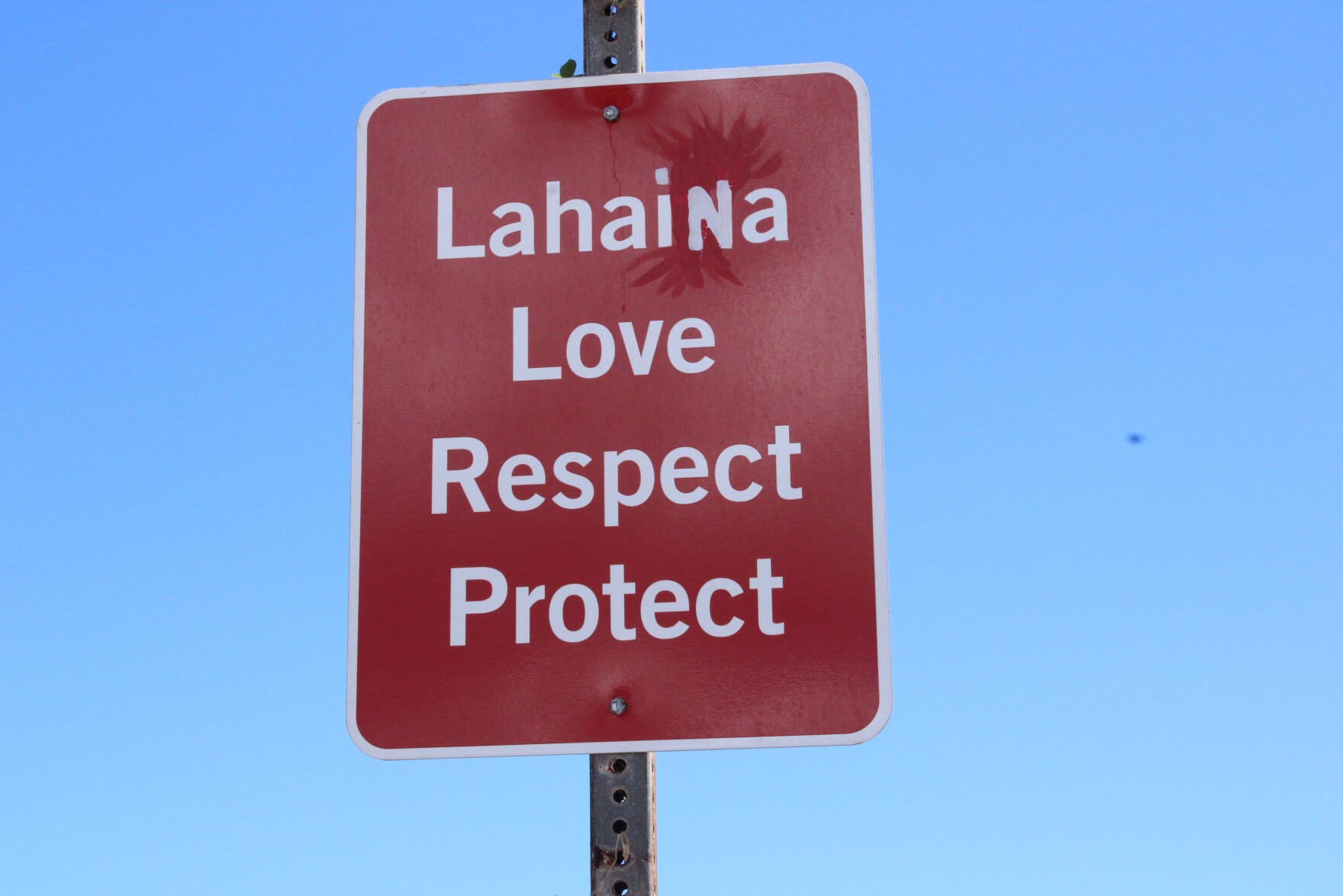 Photos: Cleanup and recovery in Lahaina 1 year after the fires | Hawai ...