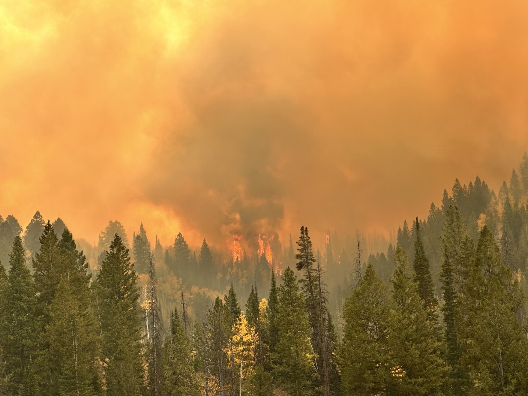 Yellow Lake Fire forces more evacuations, threatens new area in Wasatch ...