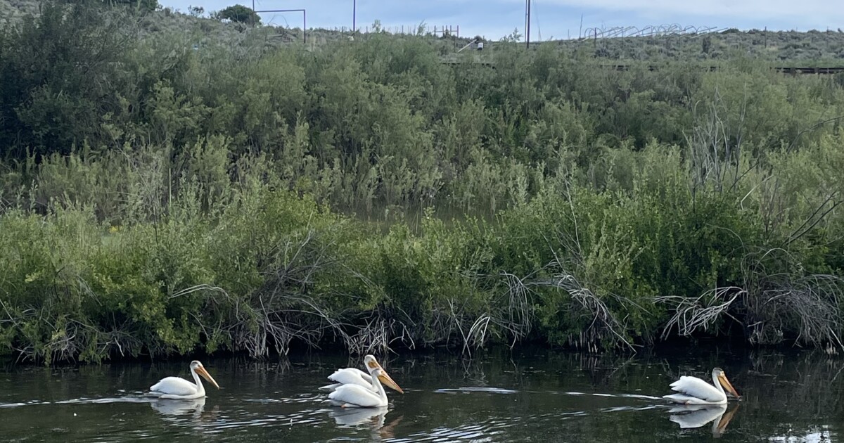 Utah water storage highest in over 15 years