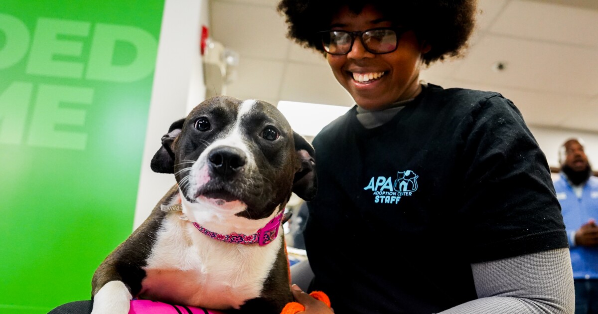 APA plans new shelter in north St. Louis County | STLPR