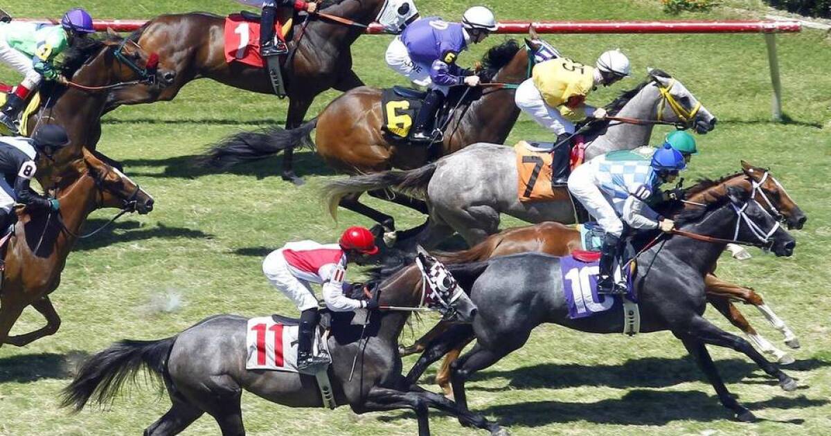 Texas Officials Reverse Course Ban Historical Racing Kera News
