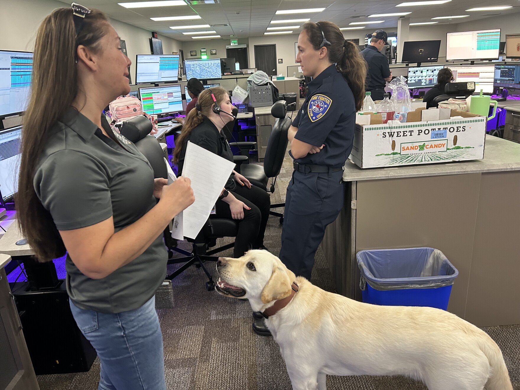 Meet Archie, Summit County's new 911 dispatch dog | WVXU