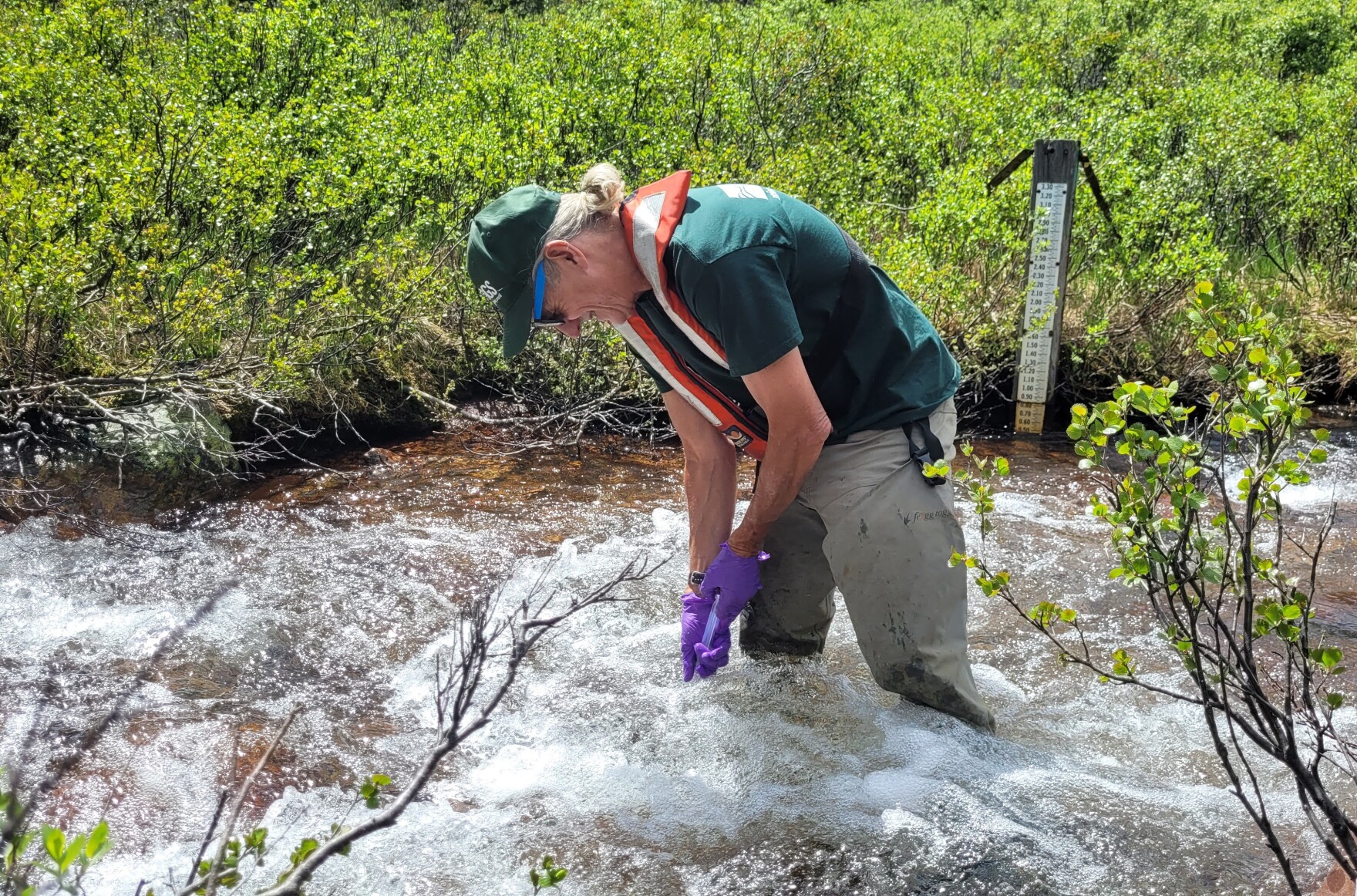 Climate change is contaminating Colorado mountain waterways with higher ...