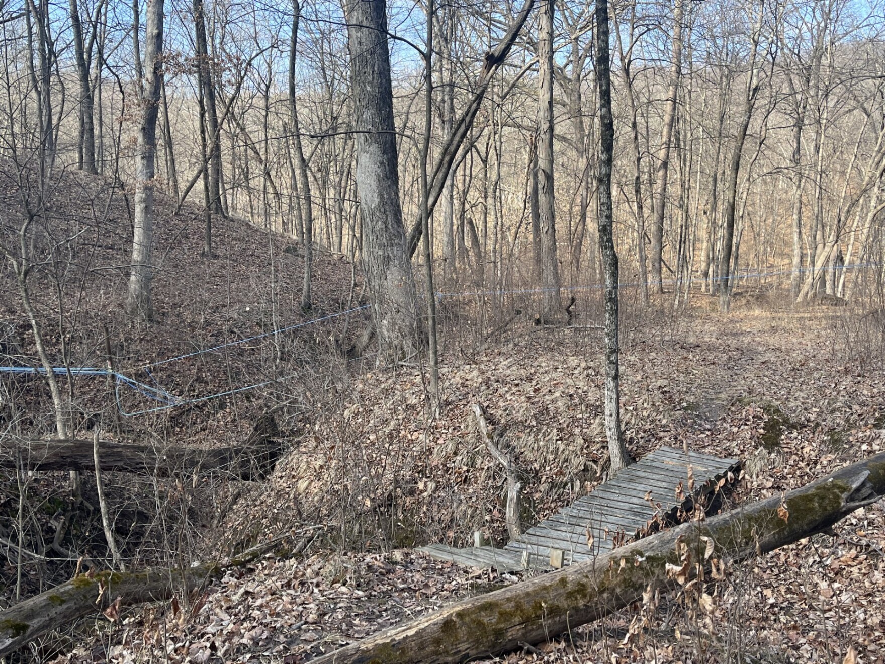 It's syrup season at Peoria Park District's Camp Wokanda | WCBU Peoria