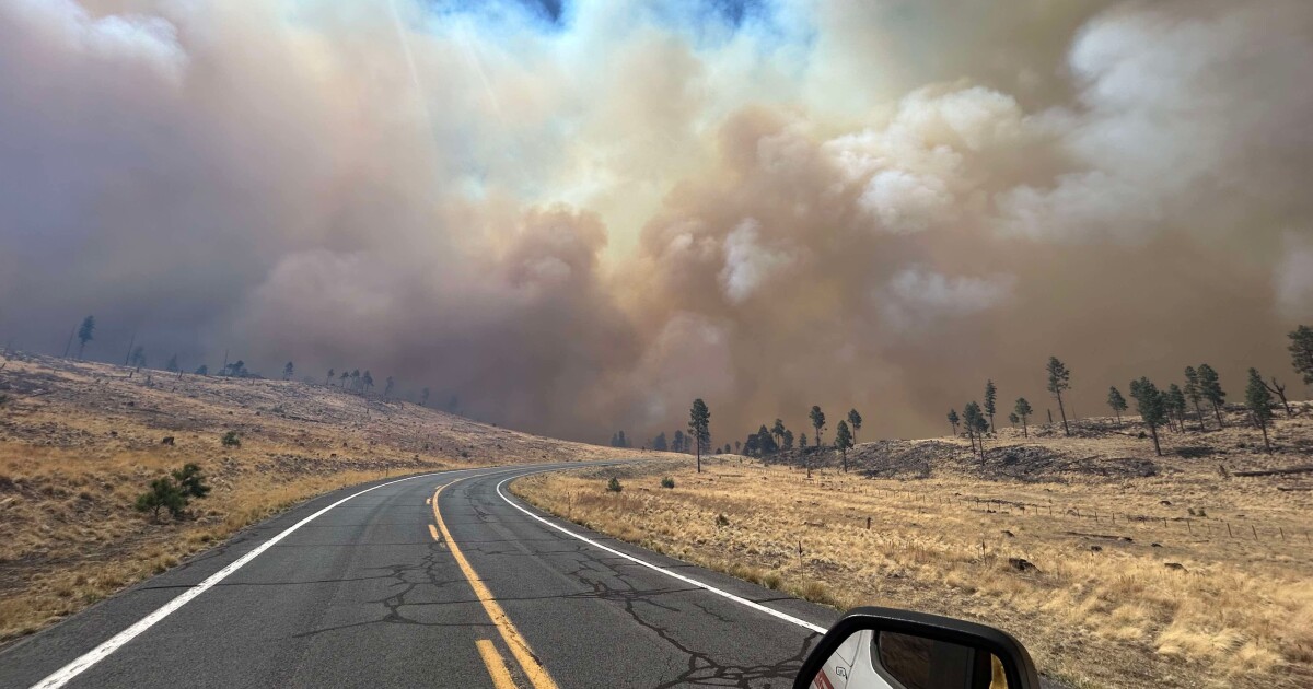 Greer Fire: The latest on the Arizona wildfire near Apache-Sitgreaves ...