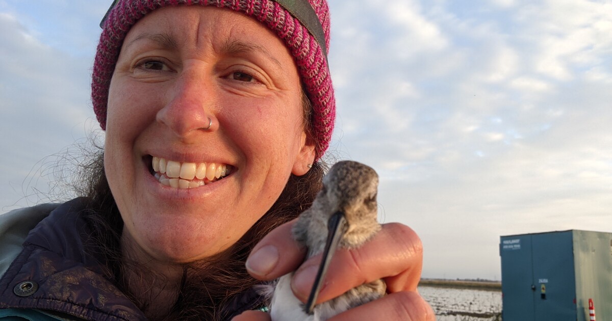 This Ohio group wants organic farmers to thrive, improve access to ...