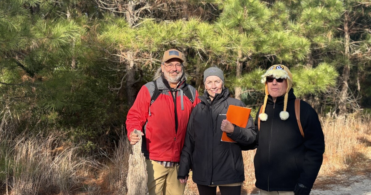 Shore Drive residents push back on Virginia Beach wetlands project that ...