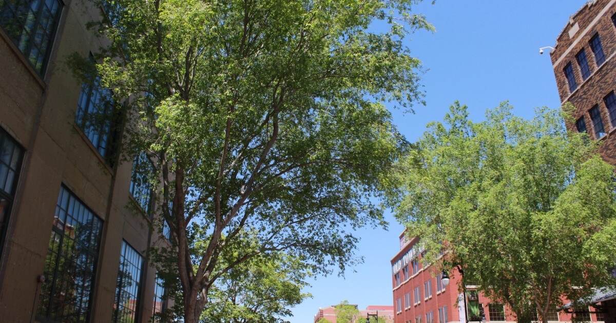 What parts of Wichita are most vulnerable to extreme heat? This report ...