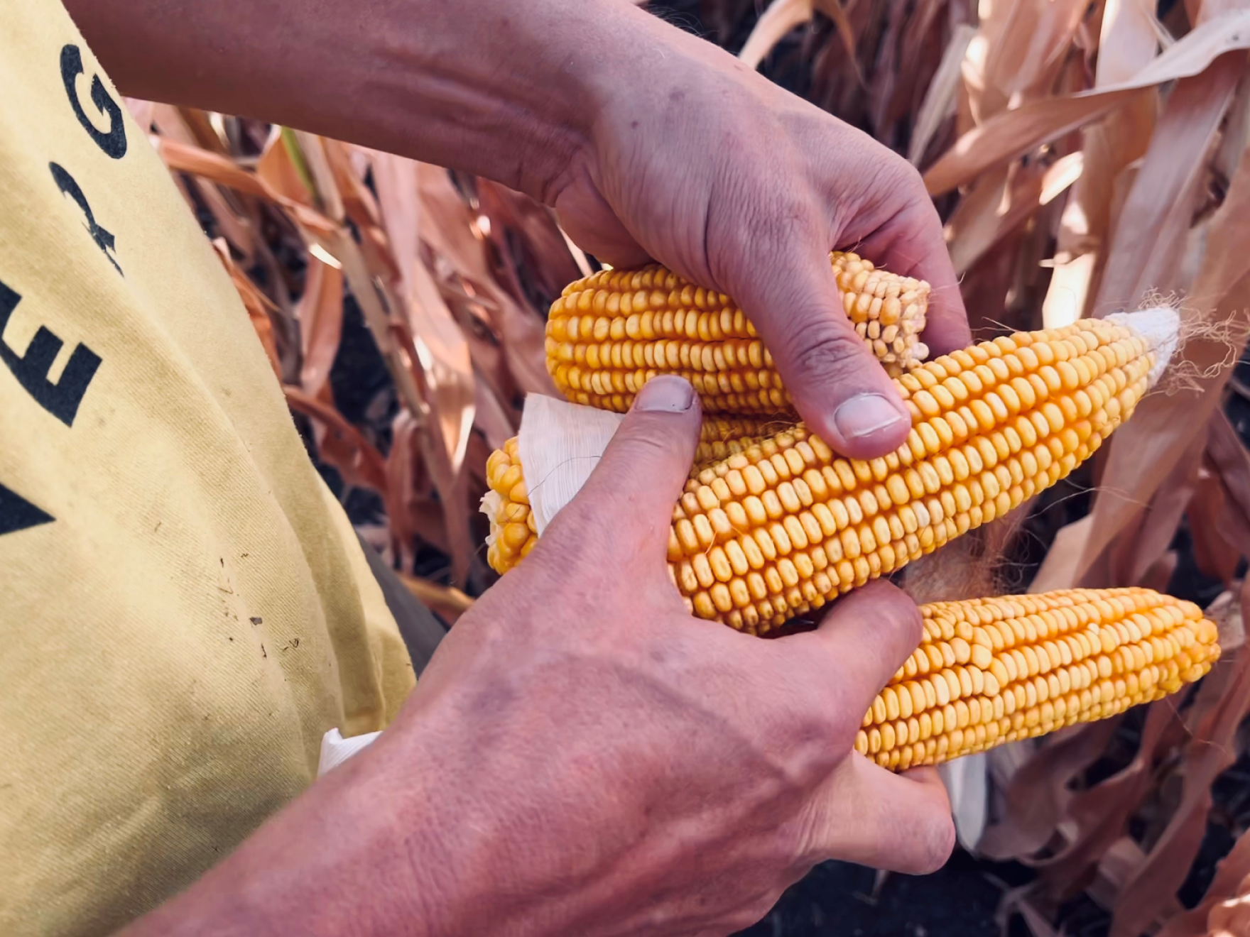 Will Trump's 'Big Beautiful Bill' help farmers in the Midwest and Great ...